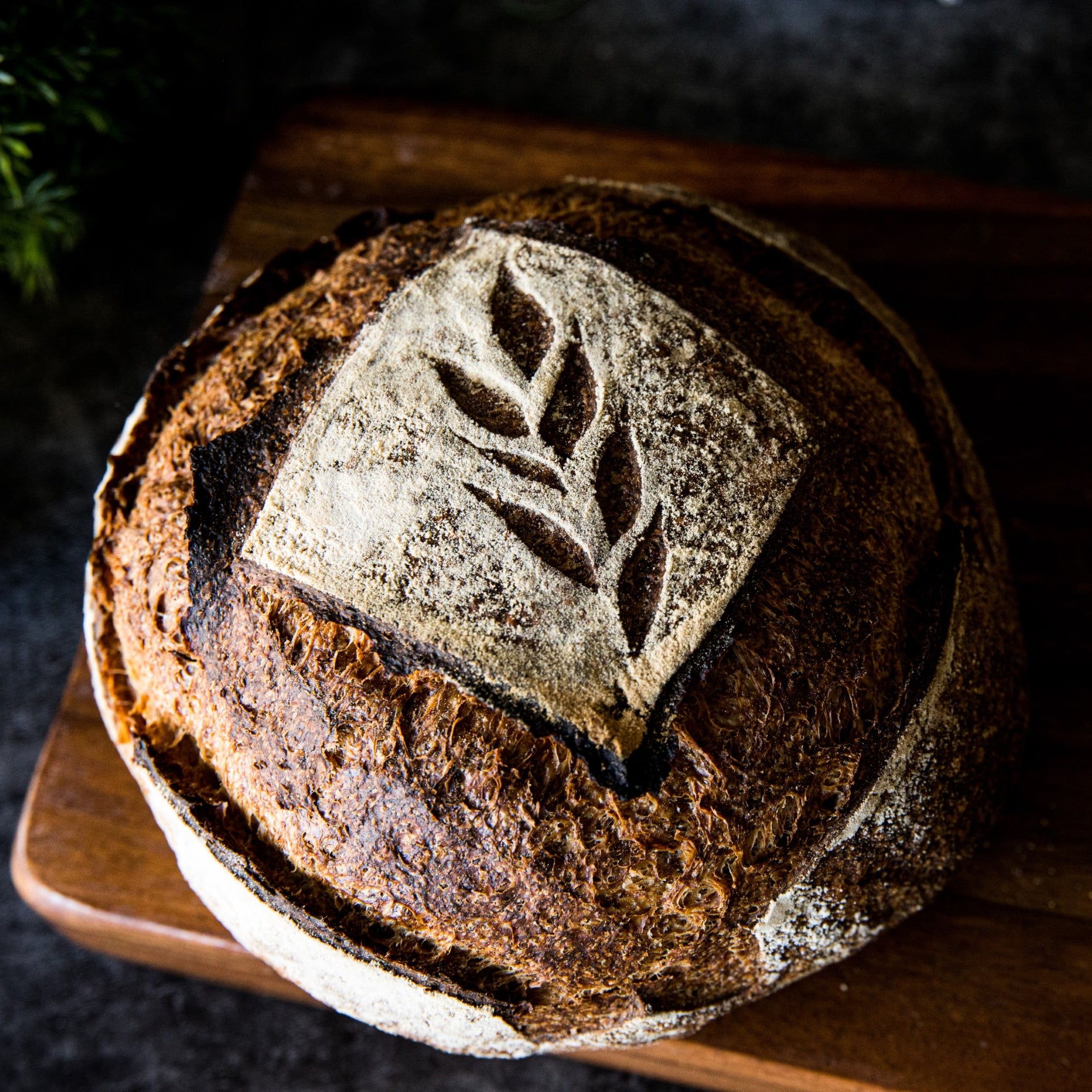 Bomou – Artisanal Bakery – Bomou Bakery